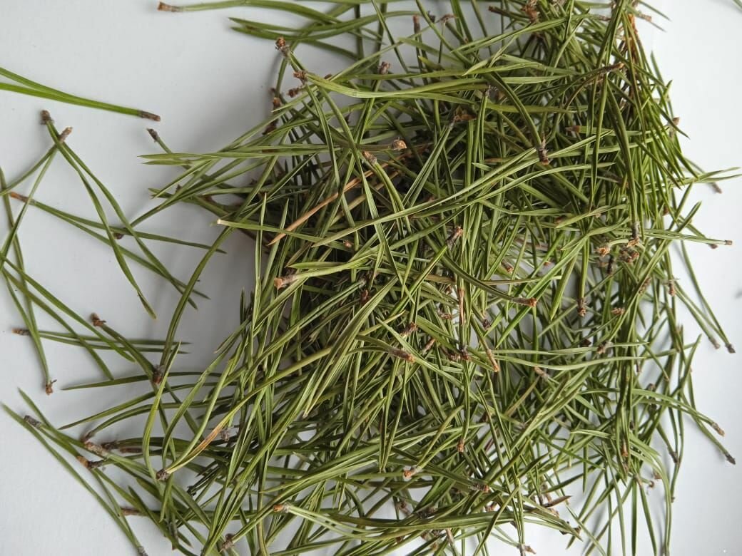 Сосновая хвоя 50 гр