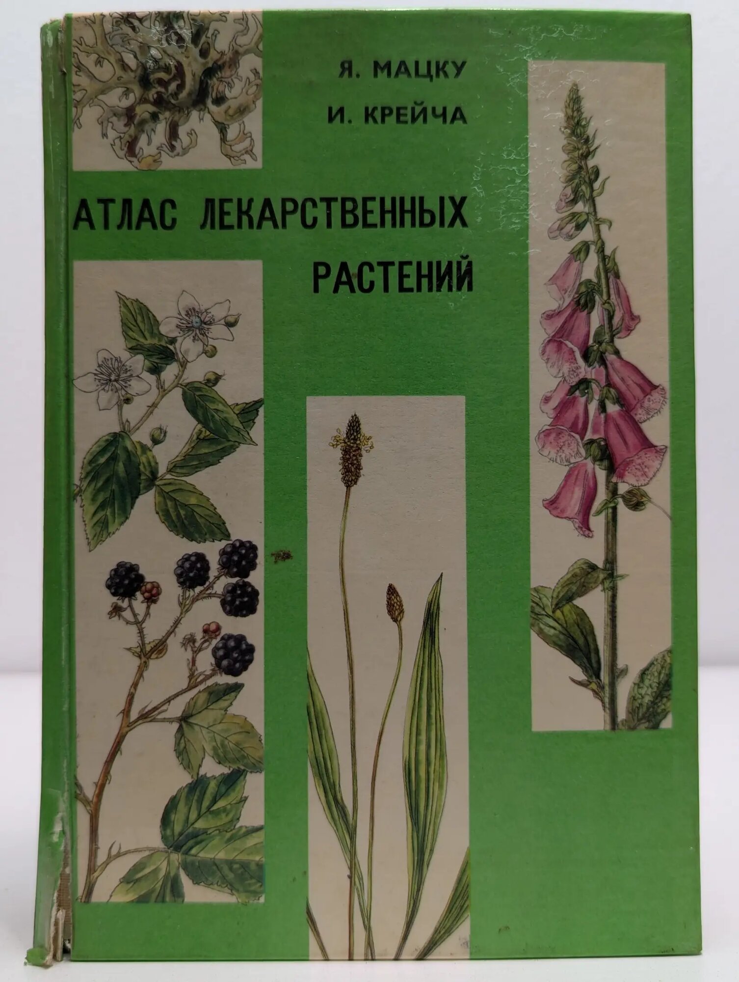 Атлас лекарственных растений Крейча Индржих, Мацку Ян 1972