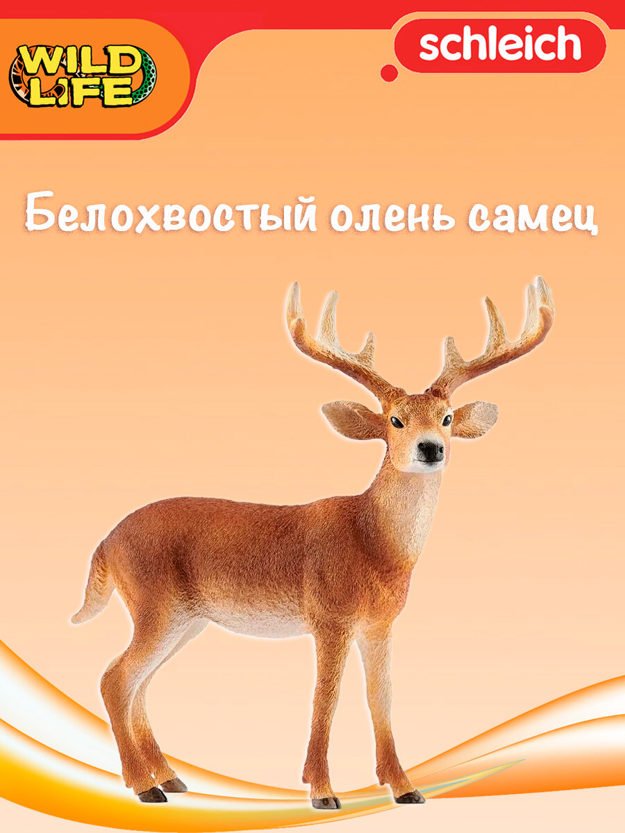 Schleich Wild Life Фигурка "Белохвостый олень самец, для детей от 3 лет, 14818
