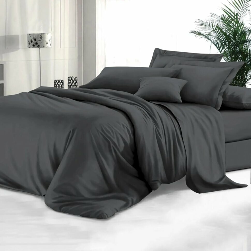 Постельное белье 2сп FELICITA микросат(нав.70х70-2шт)-1172 Графитовый эскиз, 2369099