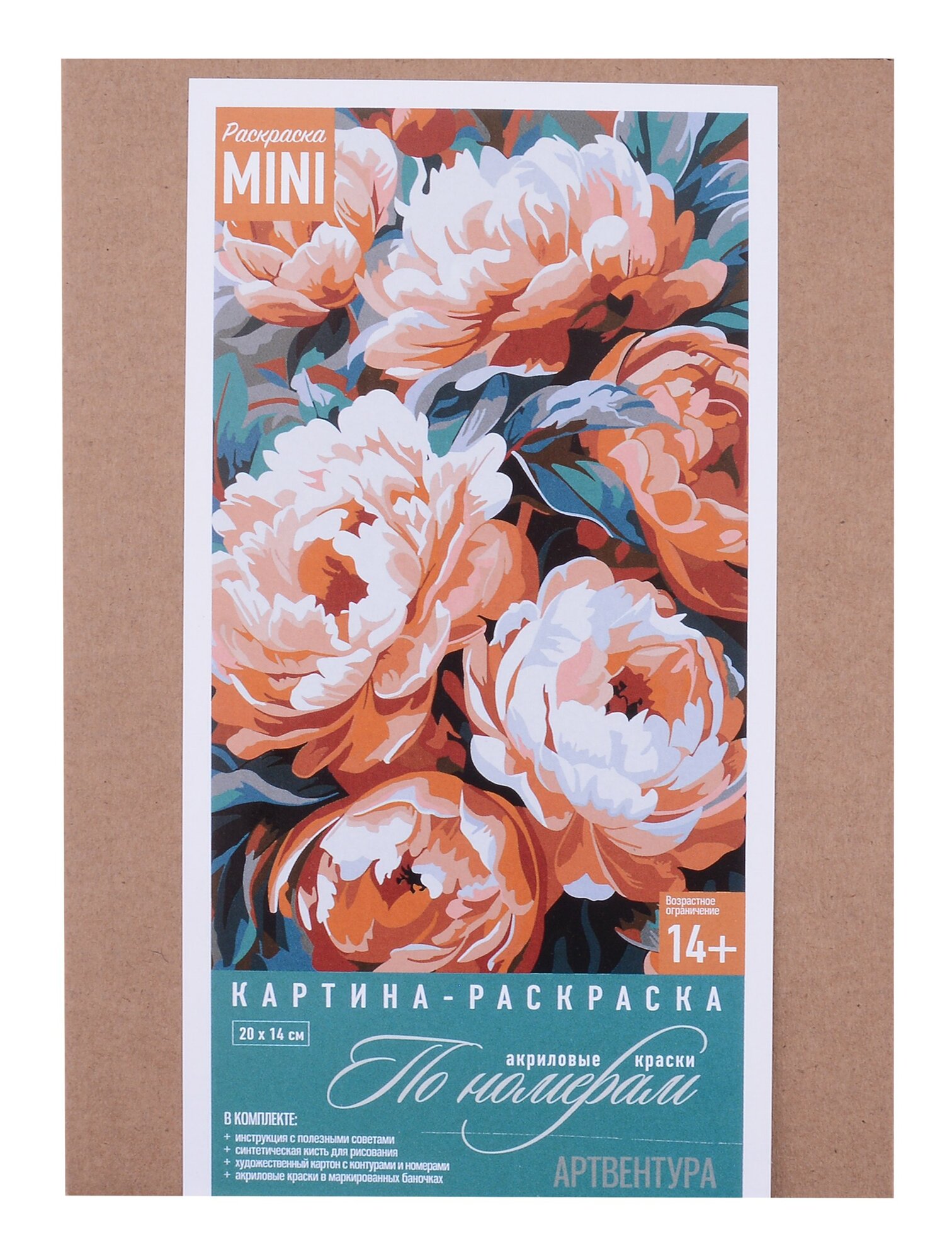 Картина-раскраска по номерам "Букет пионов". 20х14 см.