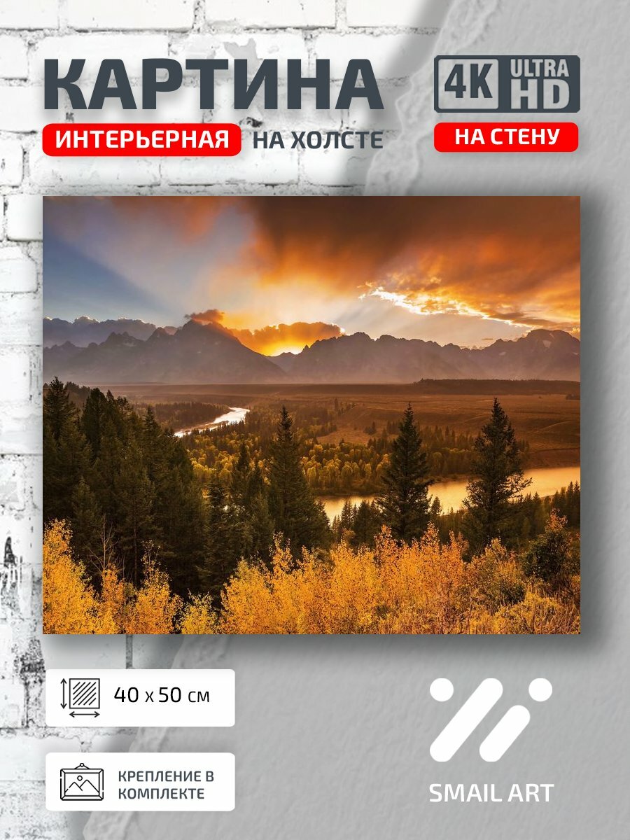 Картина на холсте интерьерная 40 на 50 на стену Деревья Landscape для офиса пейзаж интерьер