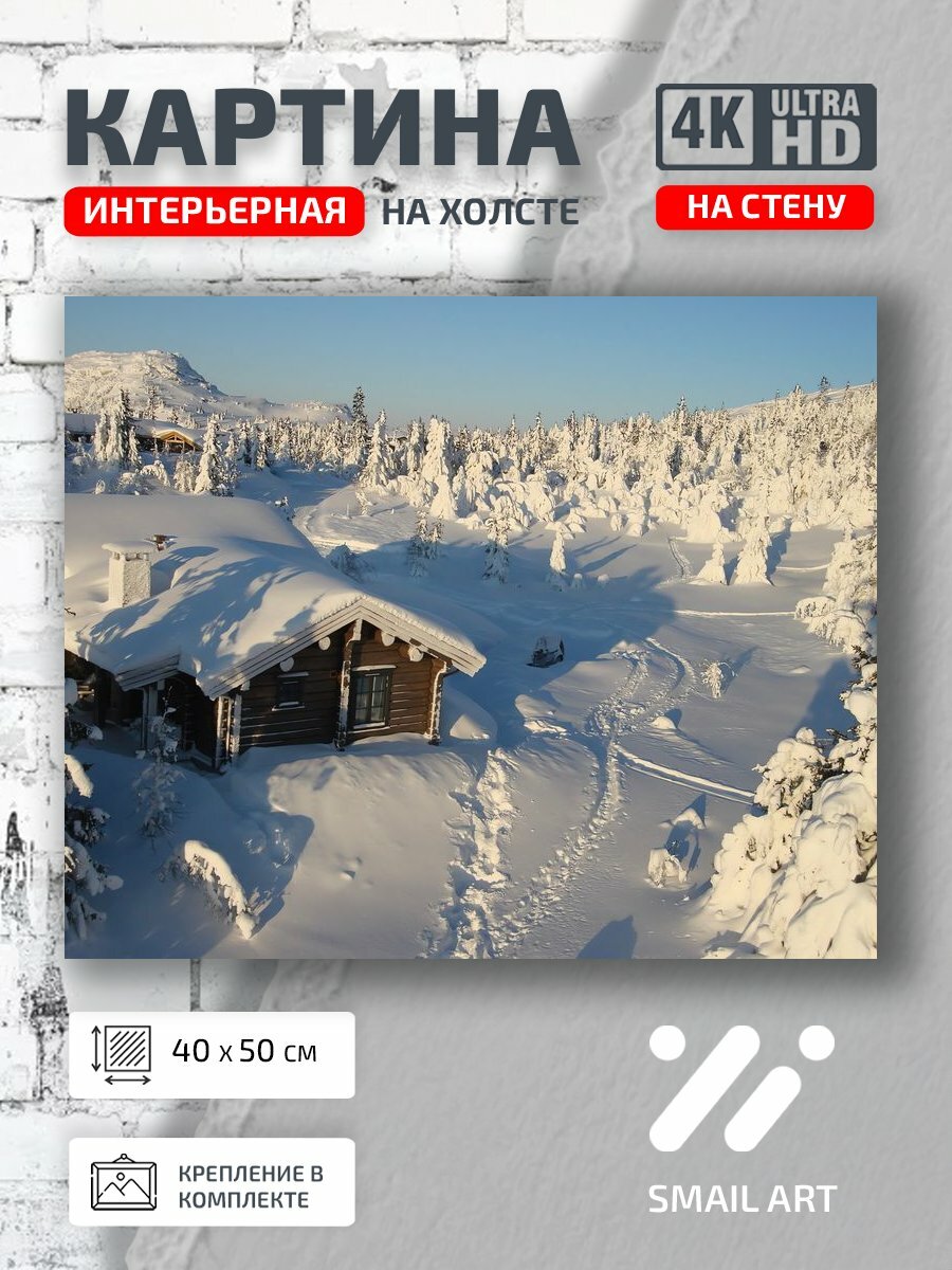 Картина на холсте интерьерная 40 на 50 на стену Дом Landscape для офиса пейзаж интерьер