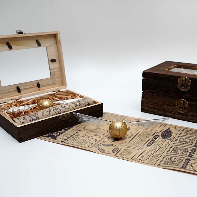 Гарри Поттер окружает Золотой Снитч детским подарком на день рождения (Авиаперевозки EUB)