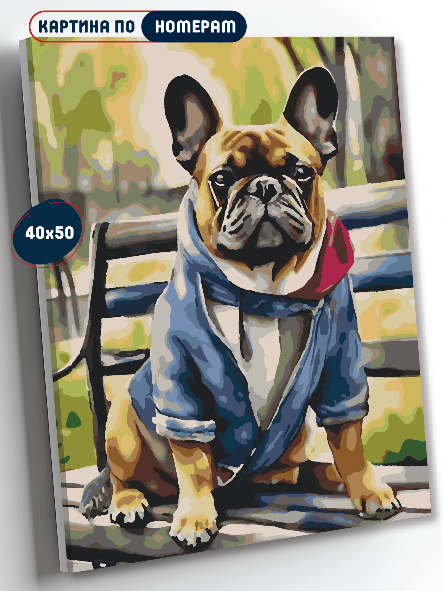 Картина по номерам "Французский бульдог", Холст на подрамнике 40х50, набор для рисования, с животными