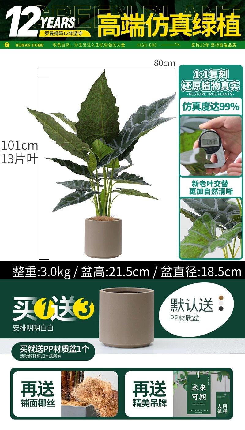 Roman Mama имитация растения в горшках в скандинавском стиле бионическое зеленое растение Гуаньинь лотос искусственное