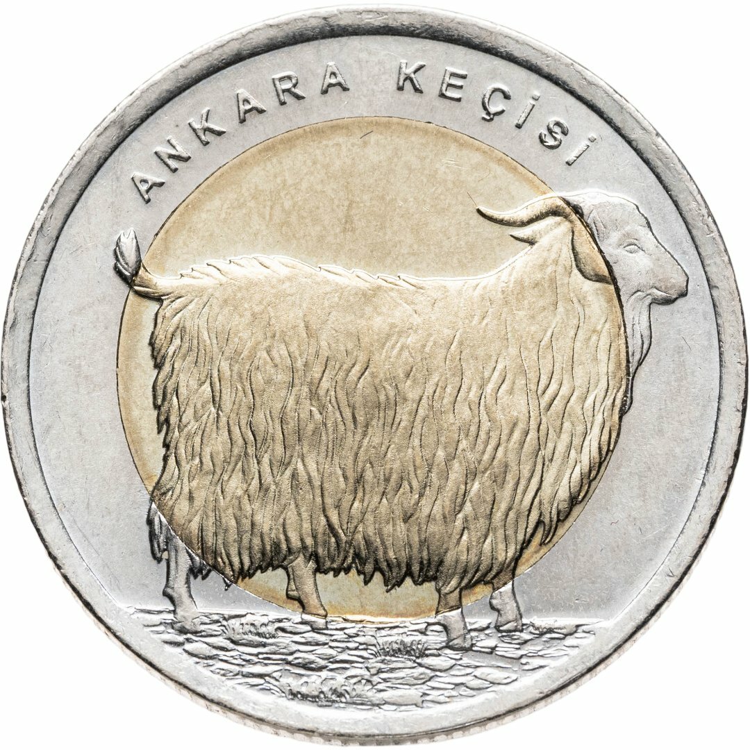 Турция 1 лира türk lirasi 2015 Фауна Турции - Ангорская коза, Биметалл, в сохранности UNC