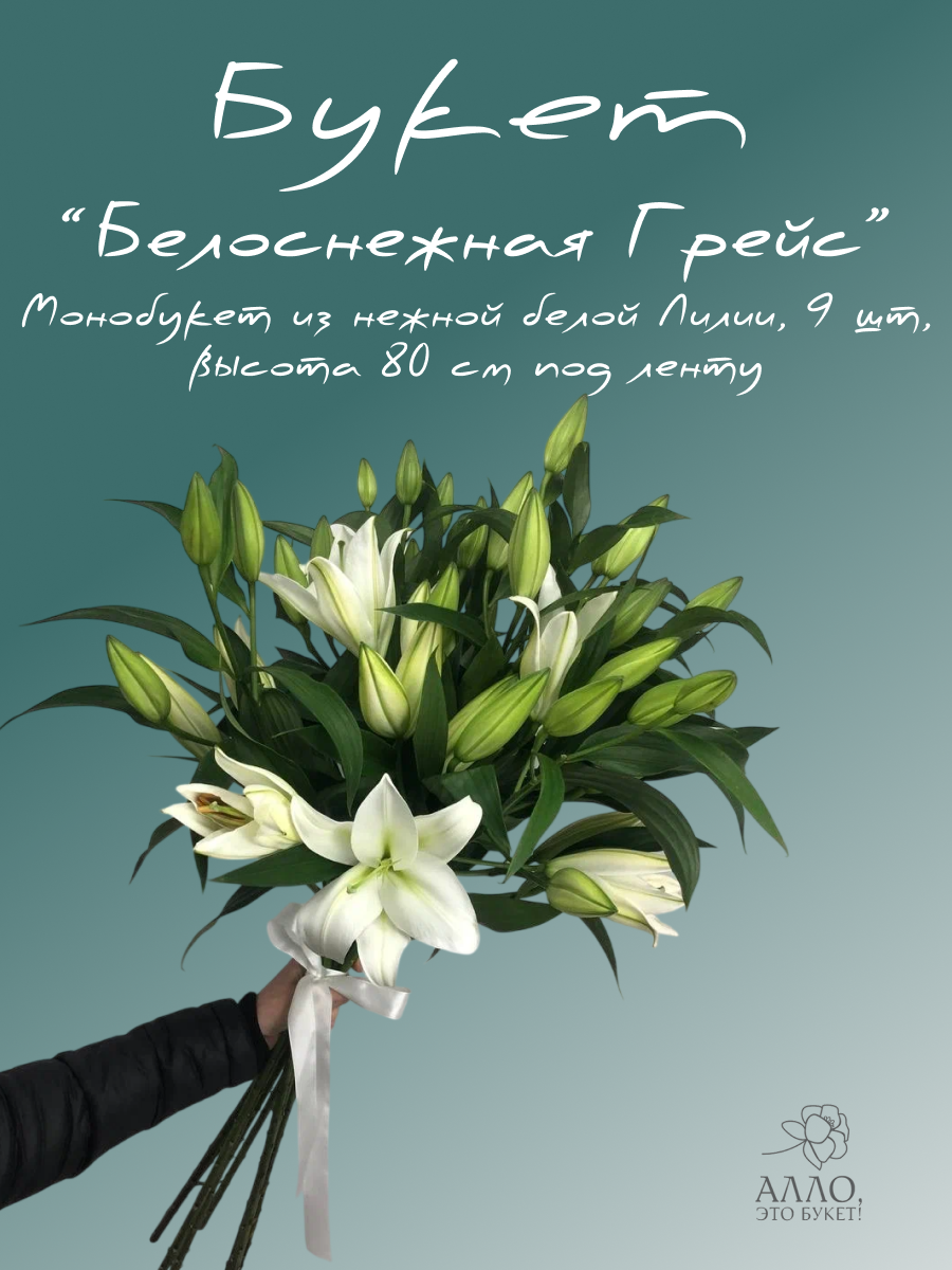 "Белоснежная Грейс" Монобукет из нежной белой Лилии, 9 шт, высота 80 см под ленту