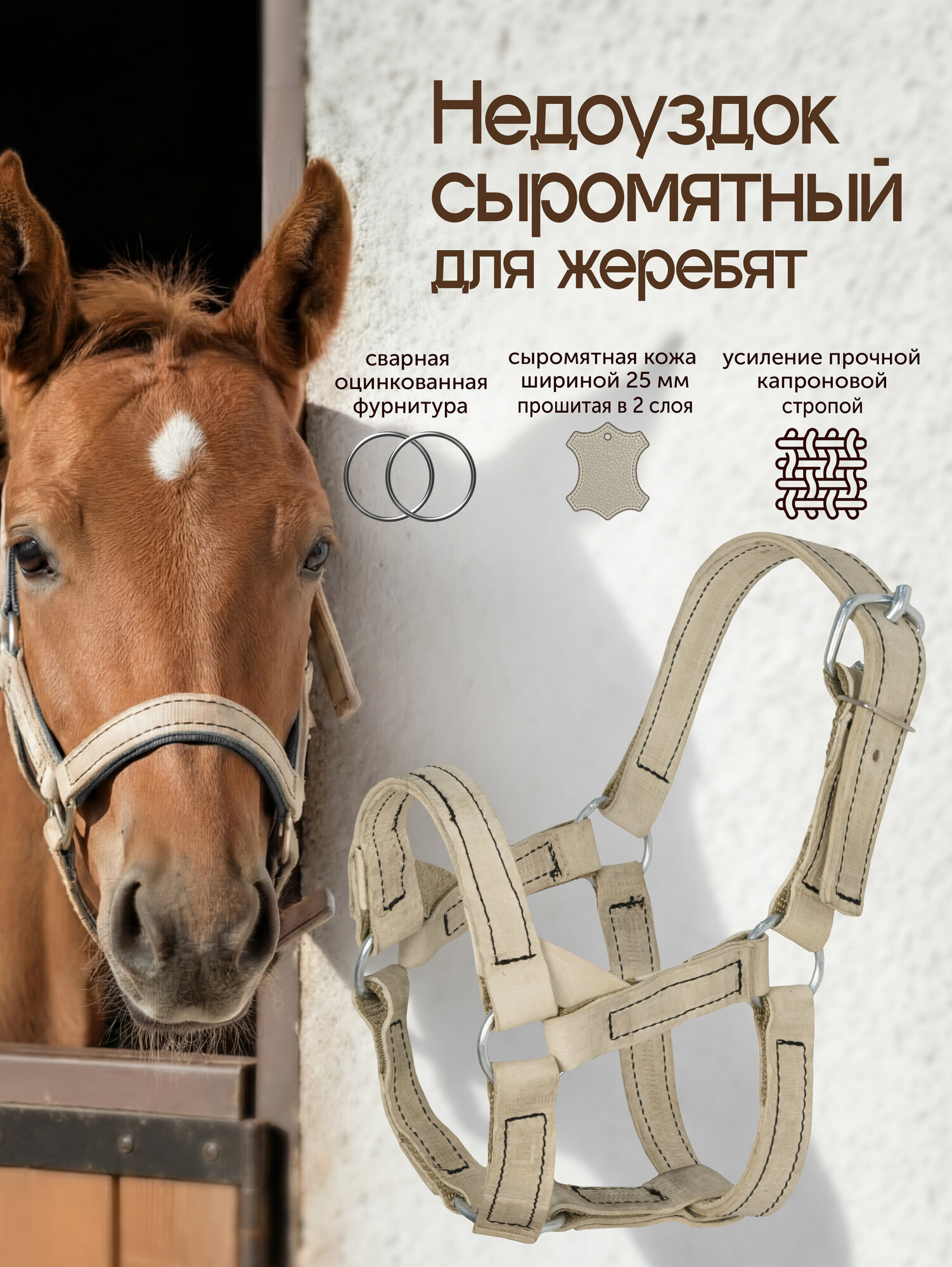 Недоуздок для жеребят, недоуздок без повода сыромять 25 мм REITER