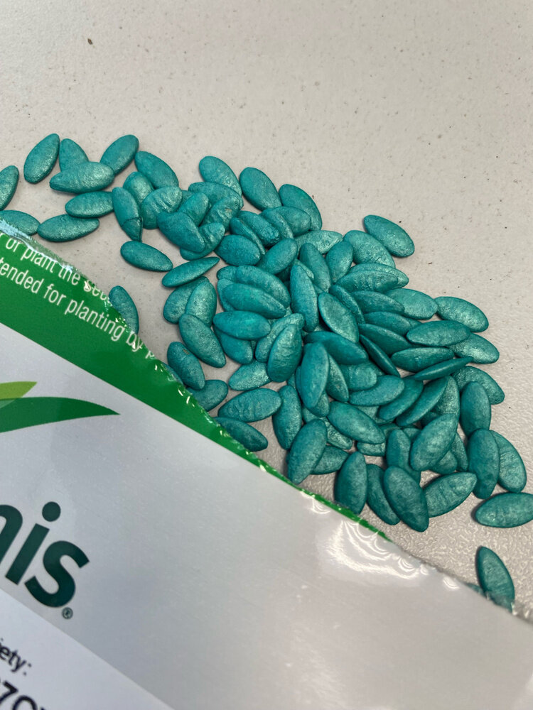 Огурец корнишон Герман F1, проф семена, ручная упаковка, 10 шт.