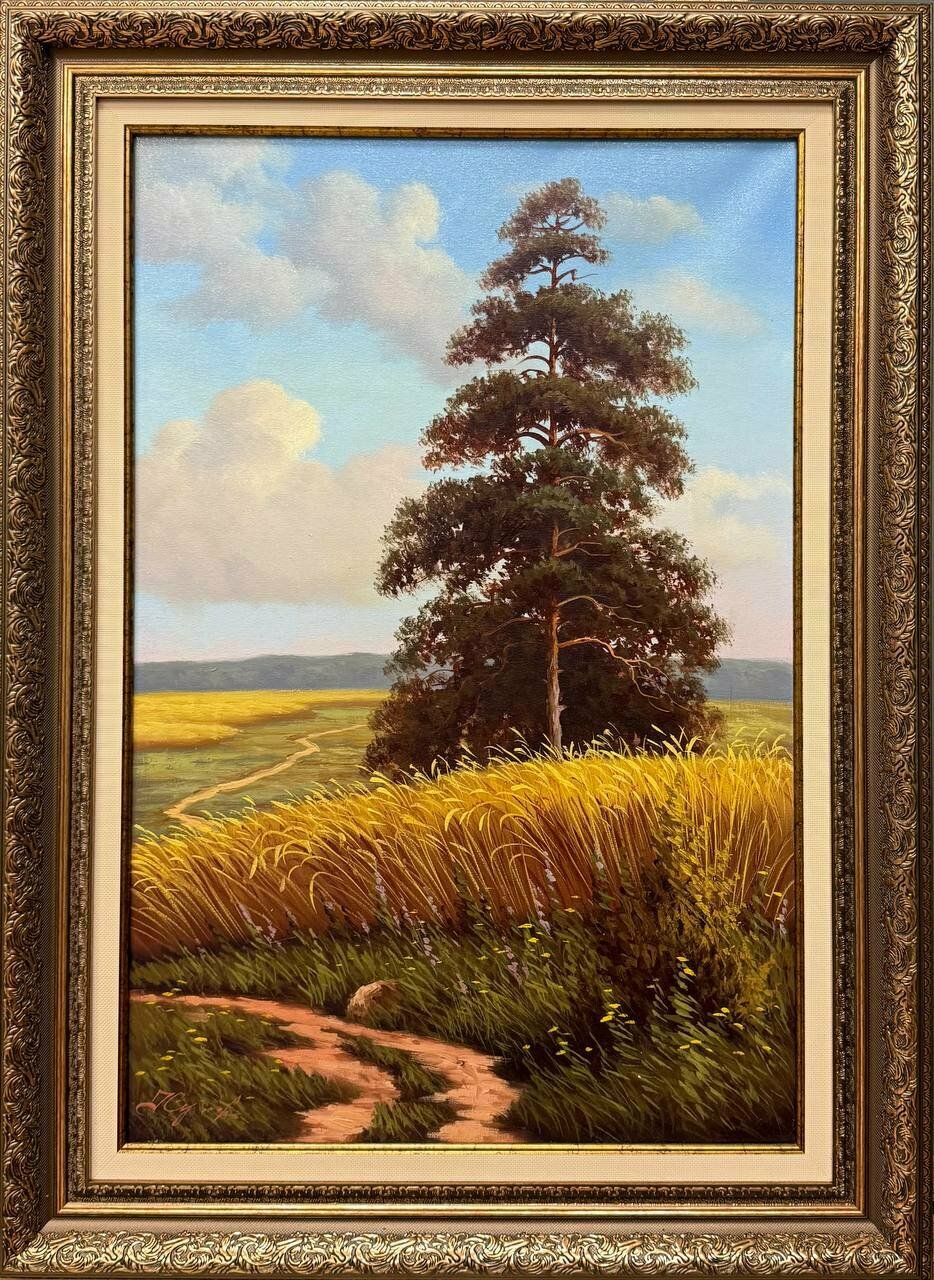 Картина маслом на холсте, летний пейзаж "Сосна в поле", 60х40 см. Автор Сергеев