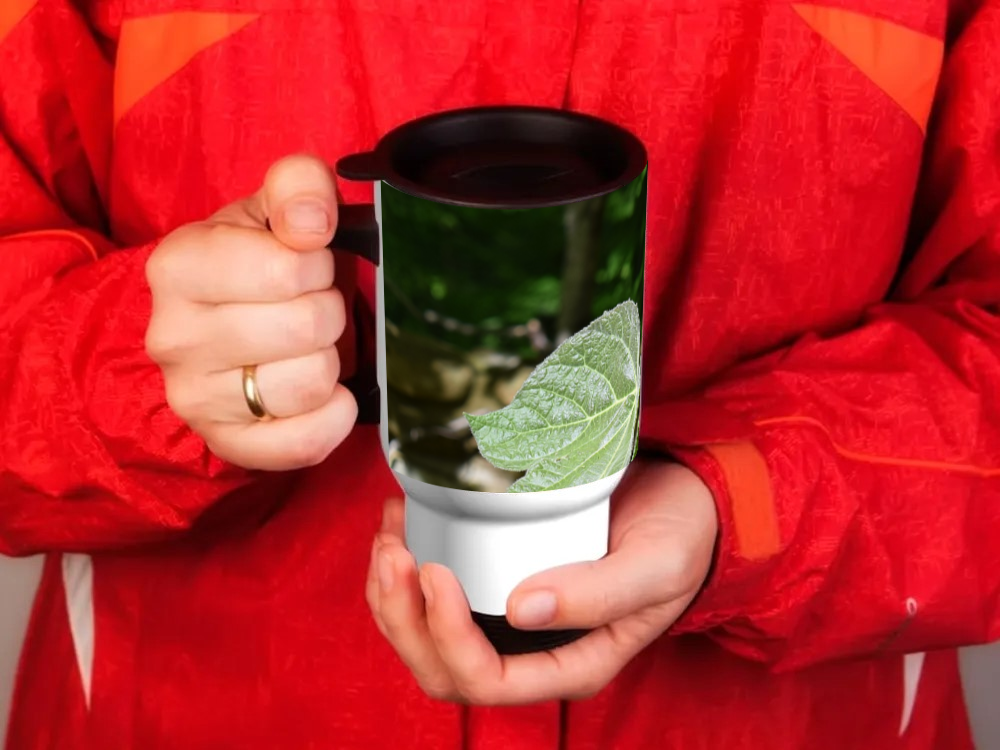 Тремокружка для авто с принтом "Новый павловния листья, принцесса дерево, павловния" 0.5 л.