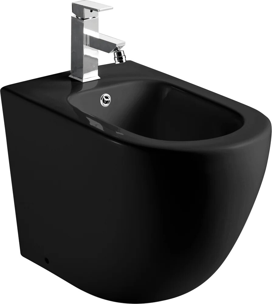 Биде напольное Weltwasser WW Merzbach 003 MT-BL матовое черное