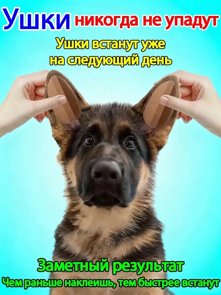 Пластыри для постановки ушей, корректирующие накладки для поднятия ушей у собак безопасные для ушного хряща.