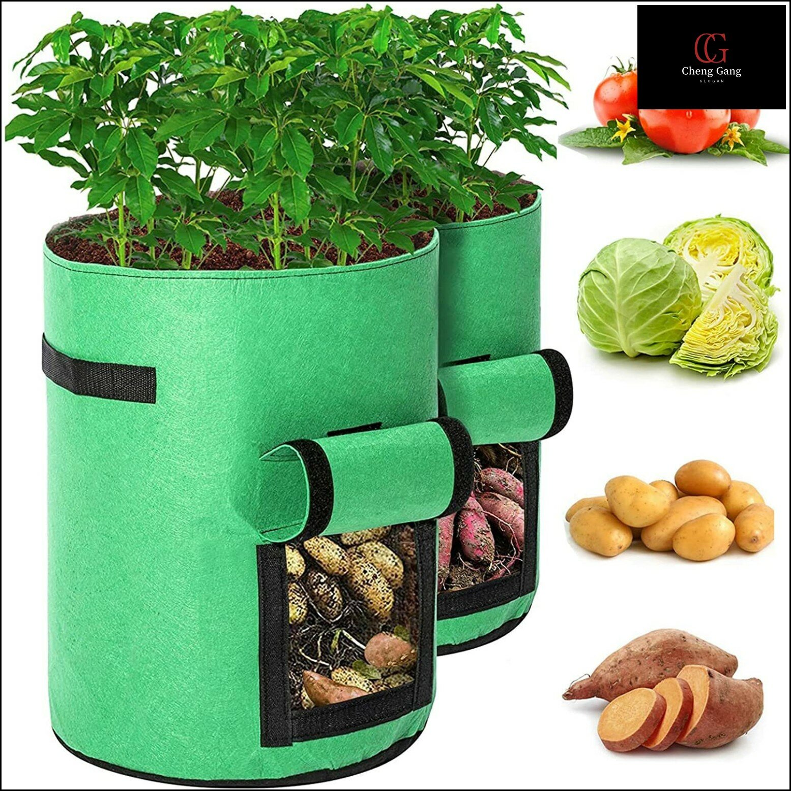 Садовые мешки для картофеля, 2 штуки по 10 галлонов, мешки для выращивания картофеля, плантеры для посадки картофеля с клапаном и ручками для картофеля, помидоров, моркови (зеленый), материал фетр, упаковка полиэтиленовая сумка + картон, для