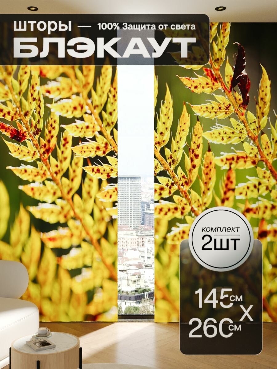 Шторы блэкаут 145x260 см 2 шт на окна плотные комплект