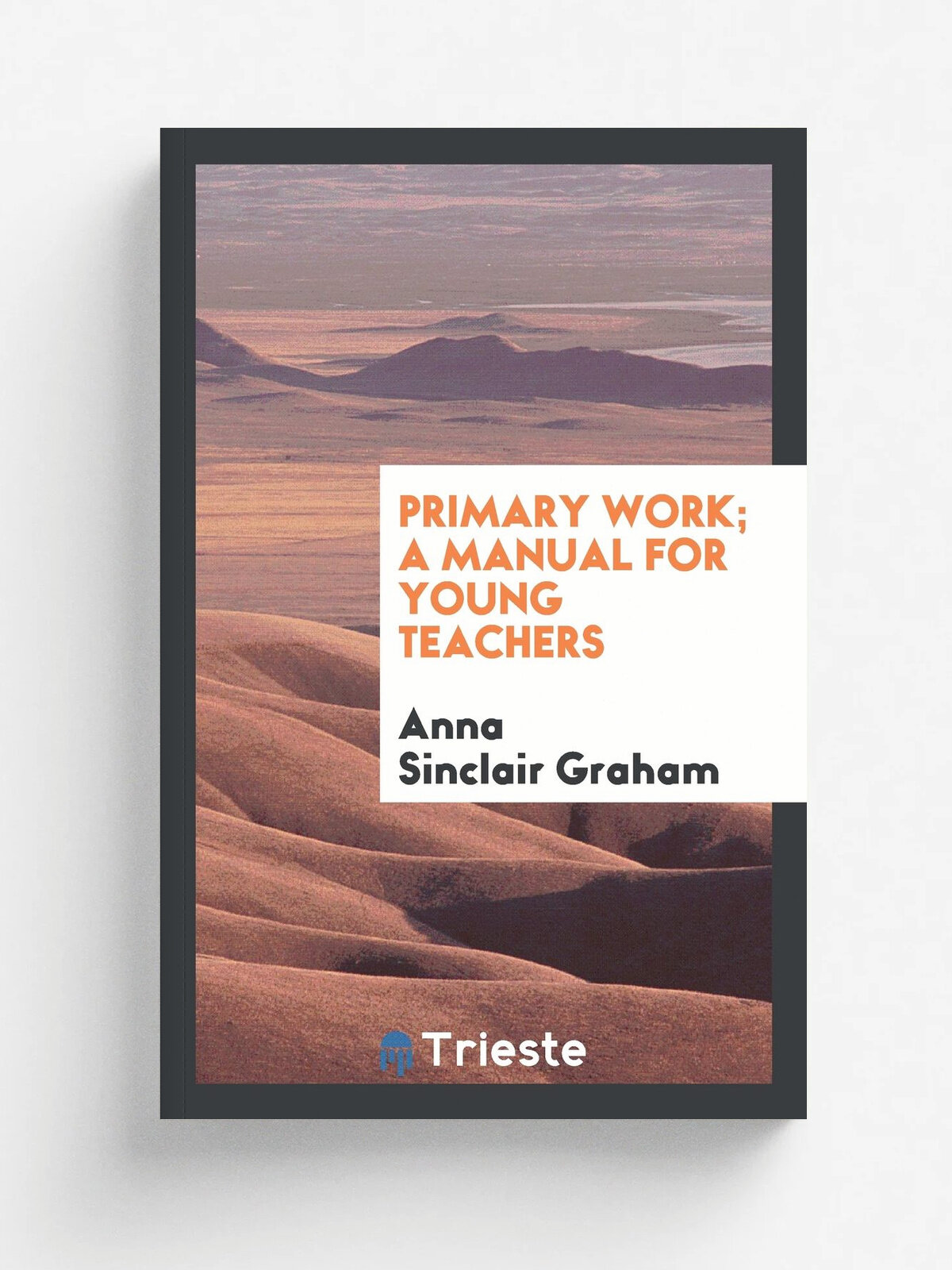 Primary work; a manual for young teachers