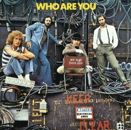Виниловая пластинка THE WHO Who Are You