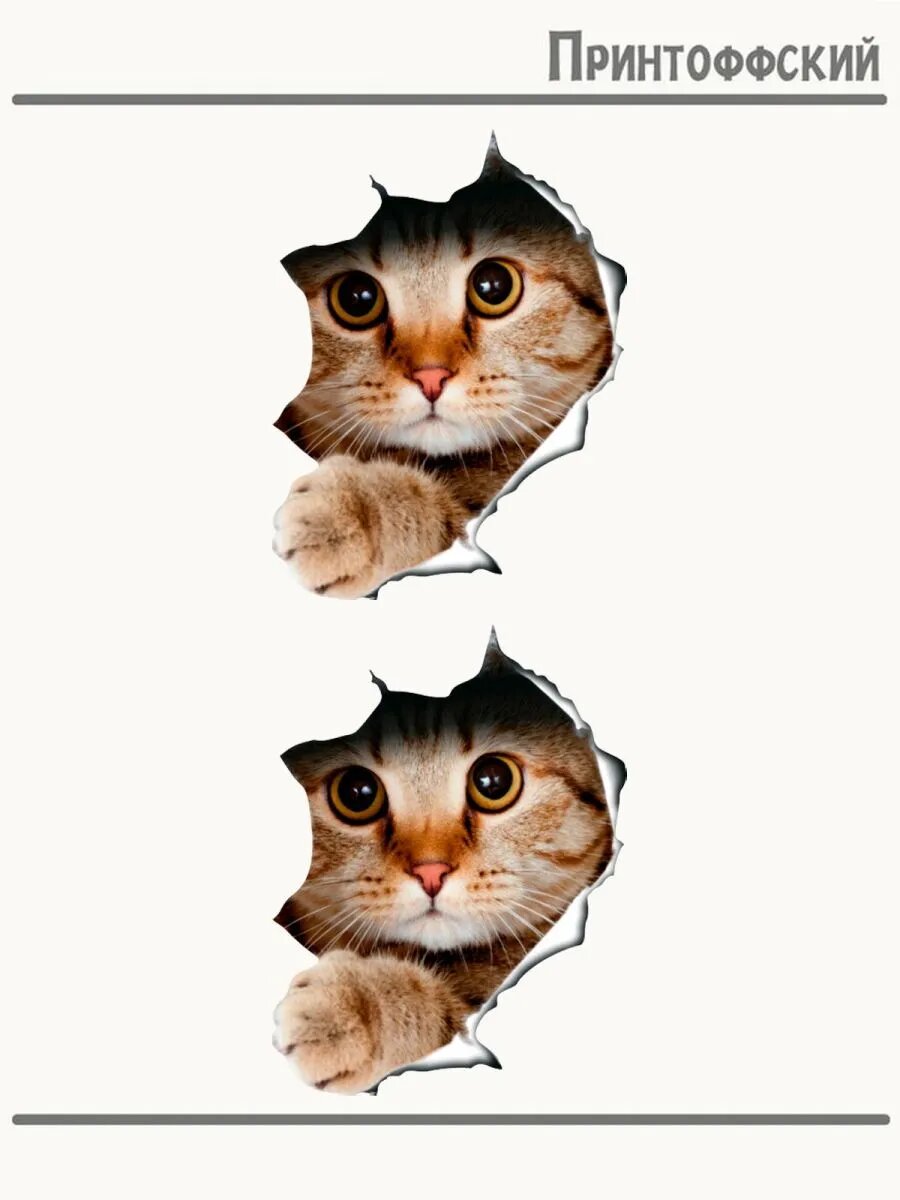 2-е (Две) Термонаклейки кот пролезает сквозь стену