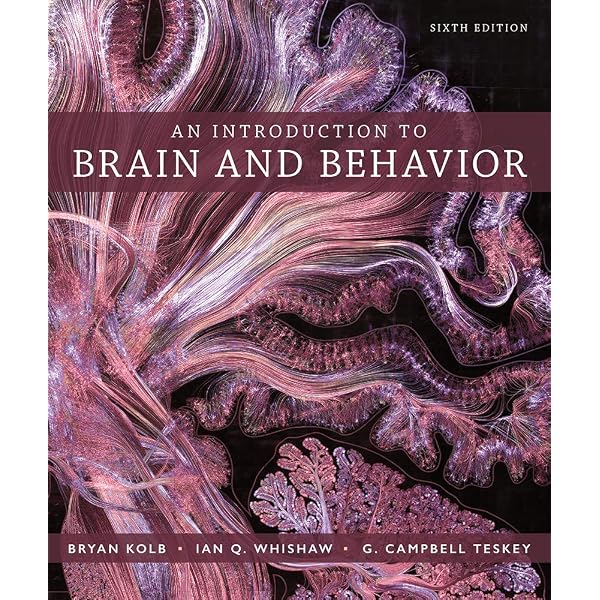 An Introduction to Brain and Behavior，Reprinted paperback book