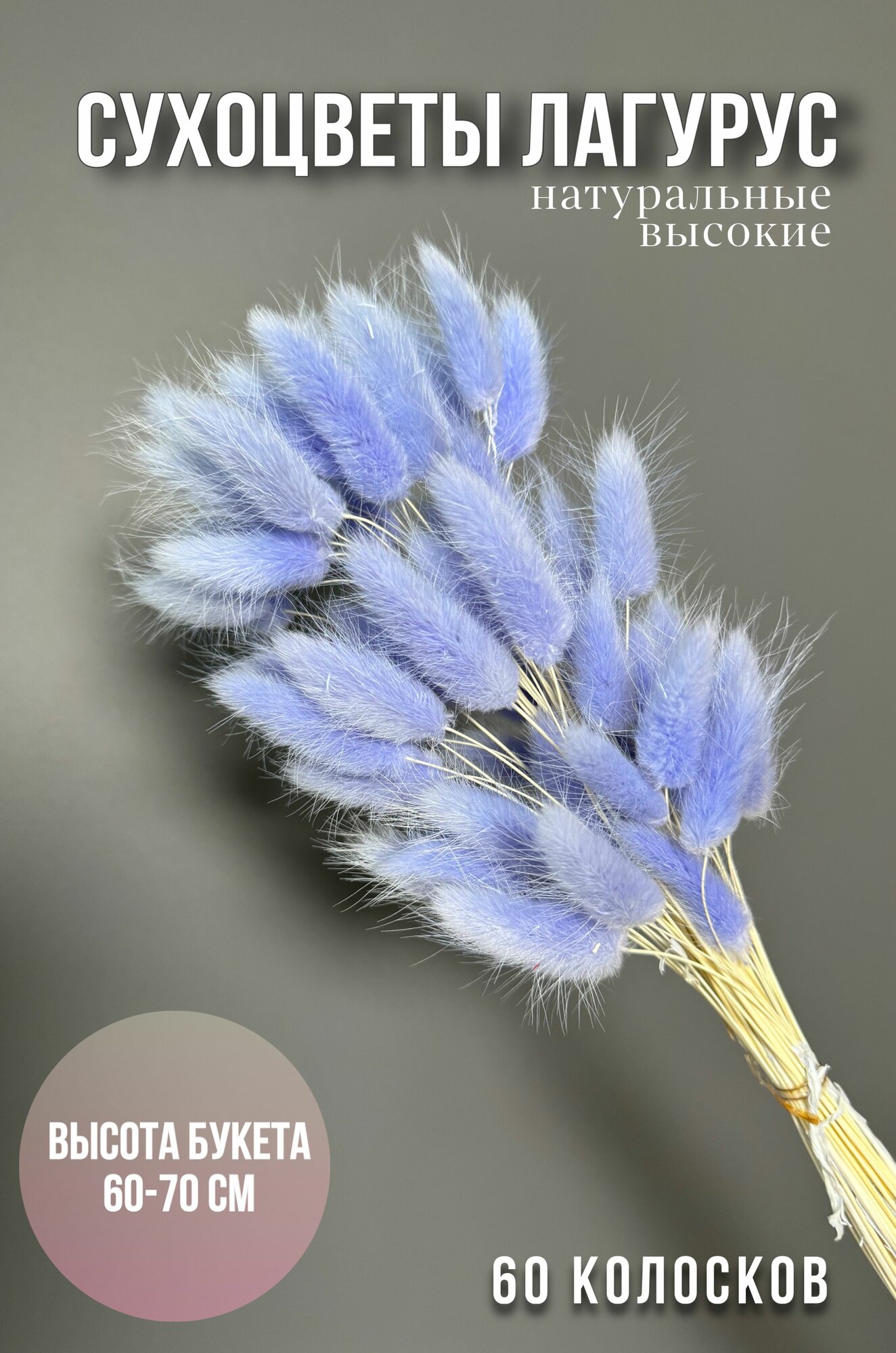 Лагурус сухоцвет для декора зайцехвост