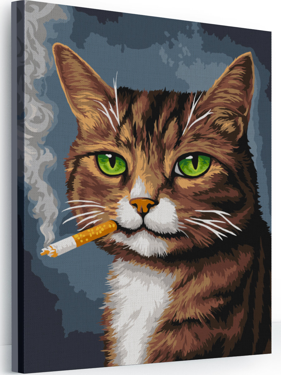 Картина по номерам кот на холсте с подрамником 40х50 см. Кот-плохиш