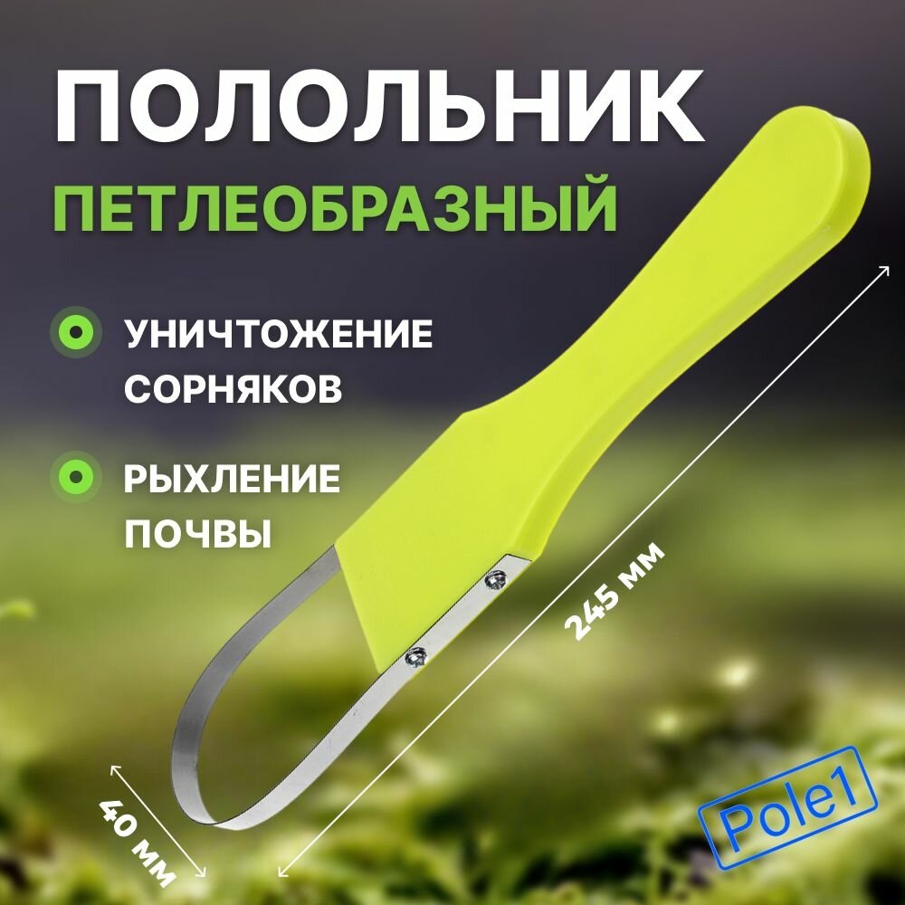 Полольник