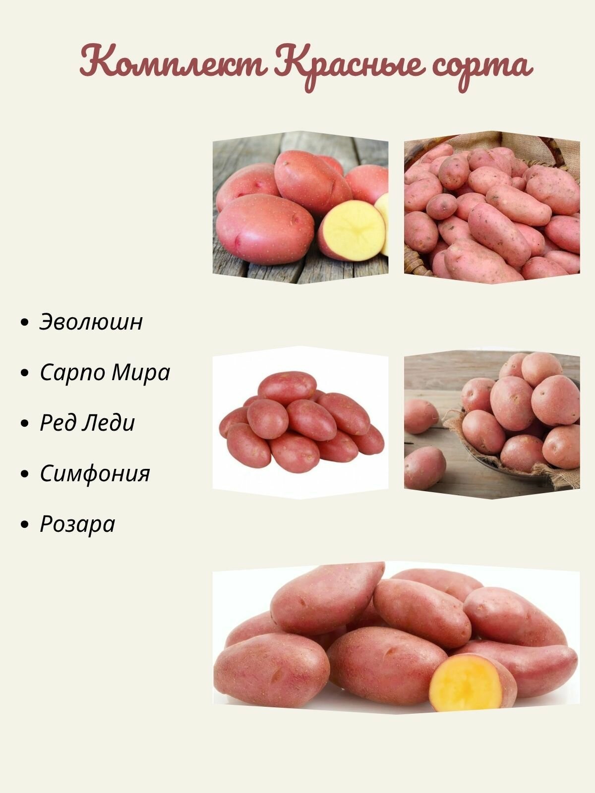 Комплект картофеля из 5 сортов "Красные сорта" 2,5 кг