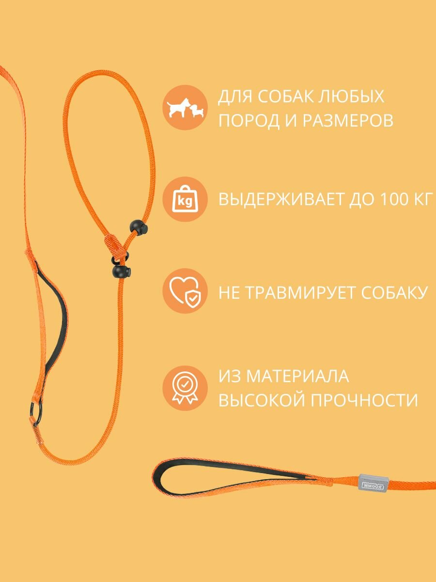 Поводок — фото 1