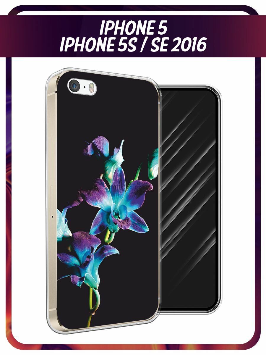 Чехол на Apple iPhone 5/5S/SE / Айфон 5/5S/SE с принтом "Синий цветок на черном"