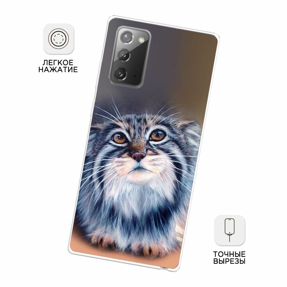 Чехол на Samsung Galaxy Note 20 / Самсунг Галакси Ноут 20 с принтом "Кот манул 2" — фото 1