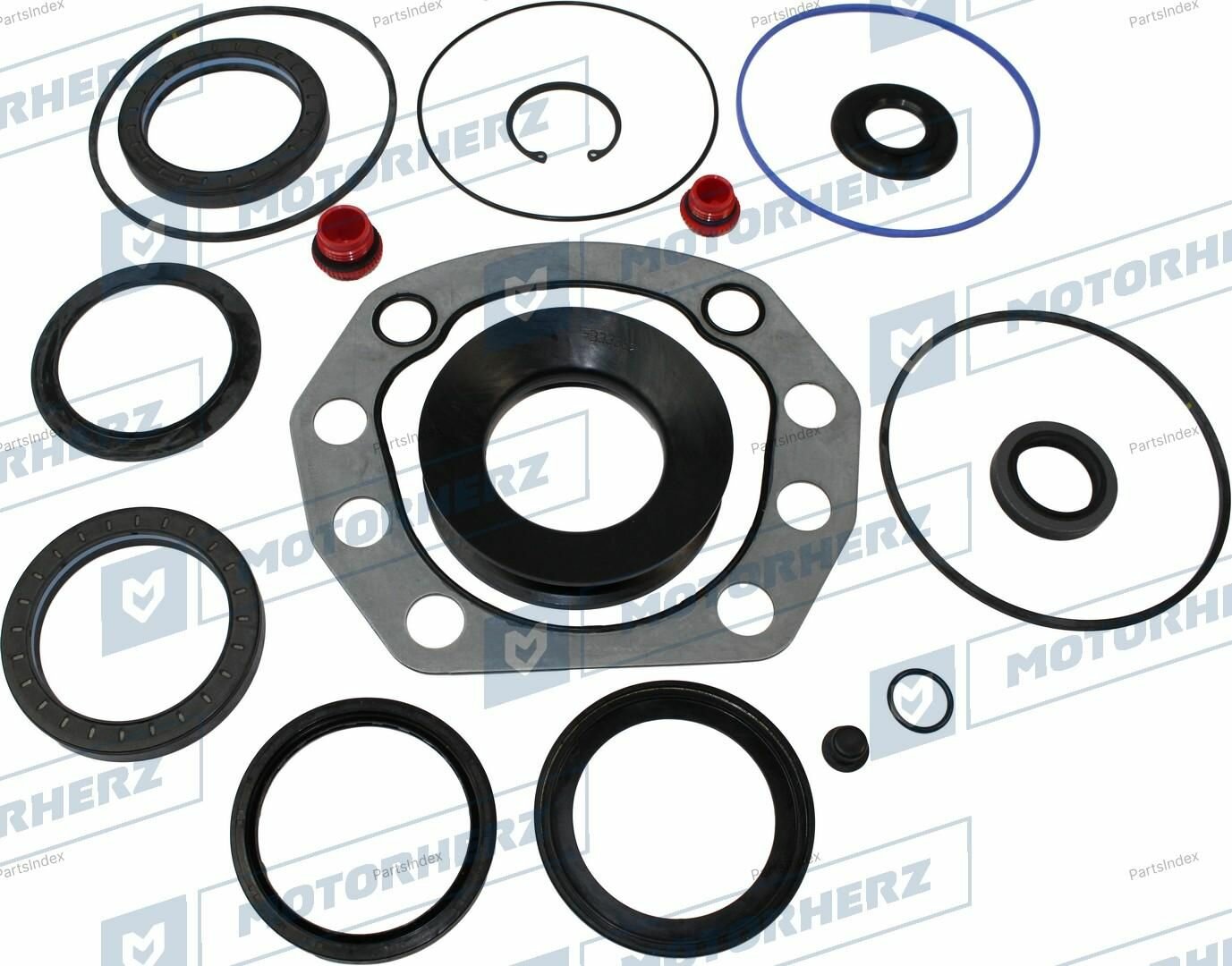 Ремкомплект рулевого редуктора, MOTORHERZ HKZ0491