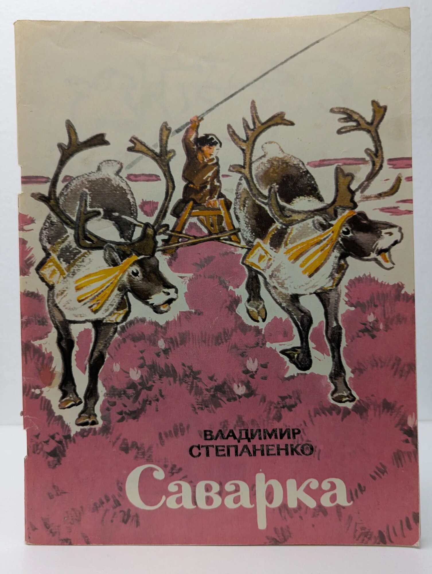 Саварка Степаненко Владимир Иванович 1976