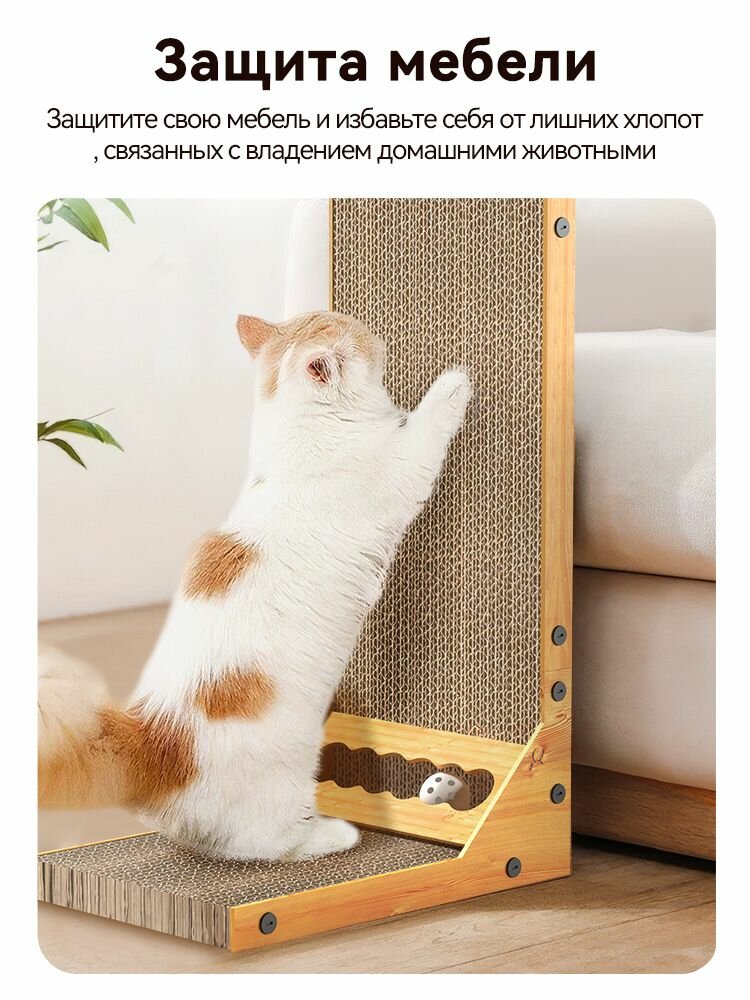 Когтеточка — фото 1