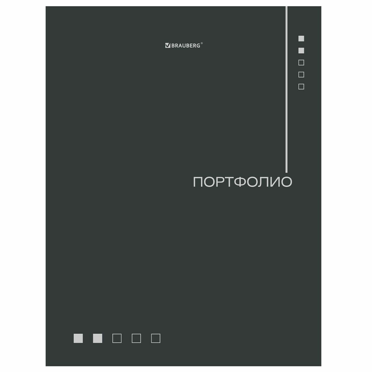 Папка-портфолио универсальная Brauberg "Minimalism", 20 файлов, 4 кольца, матовая 7Бц (117553), 10шт.