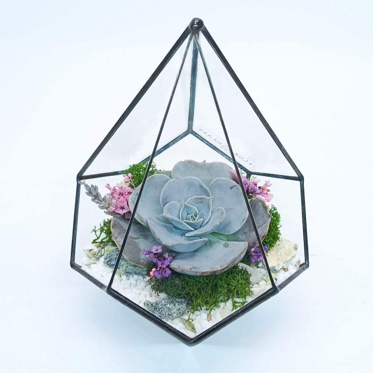 Флорариум с суккулентами "Бархатная нежность" Капля 11х17см
