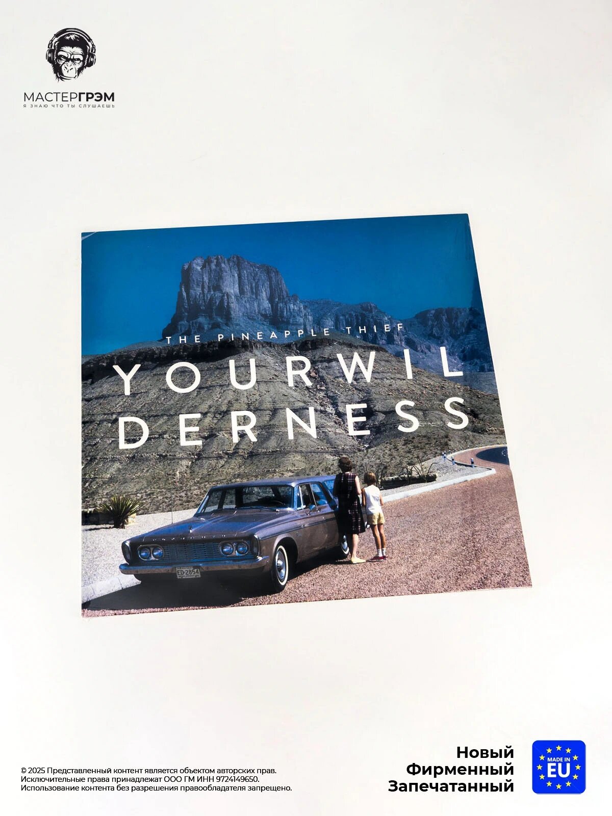 Виниловая пластинка The Pineapple Thief - Your Wilderness (LP) 2019, Kscope
