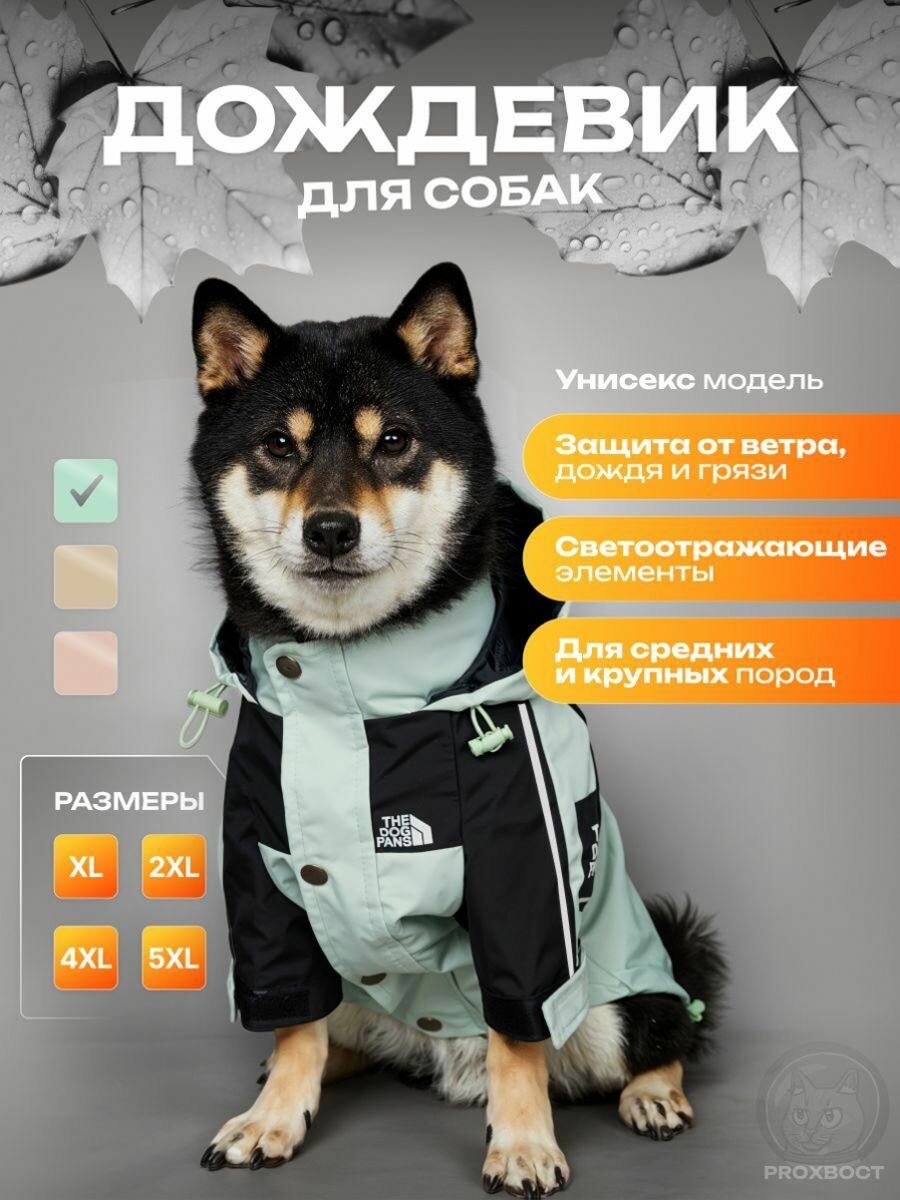 Одежда для животных