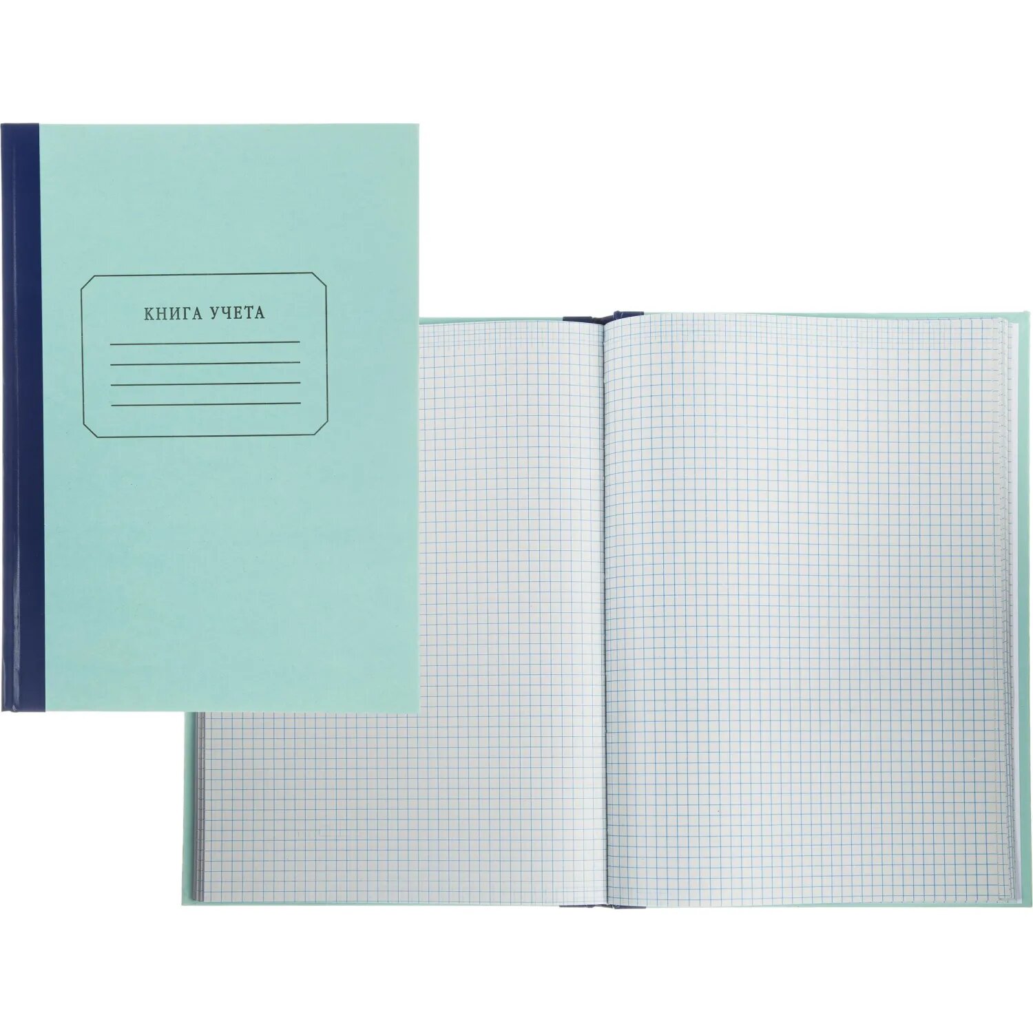 Книга учета амбарная в клетку 96л. обл. плотн. картон г/б