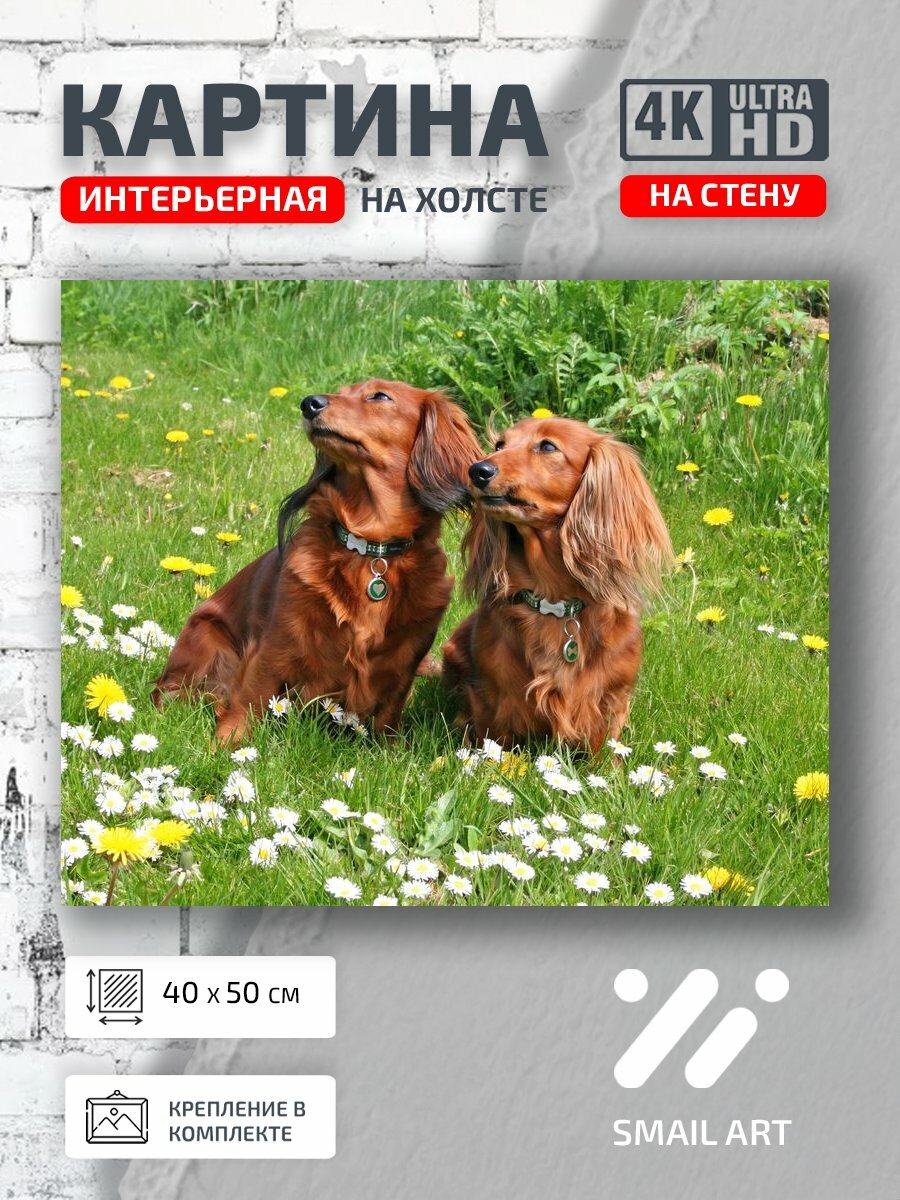 Картина на холсте интерьерная 40 на 50 на стену Поляна Mood для гостиной атмосфера интерьер