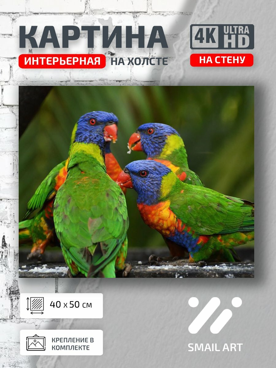 Картина на холсте интерьерная 40 на 50 на стену Красочные Mood для офиса атмосфера интерьер