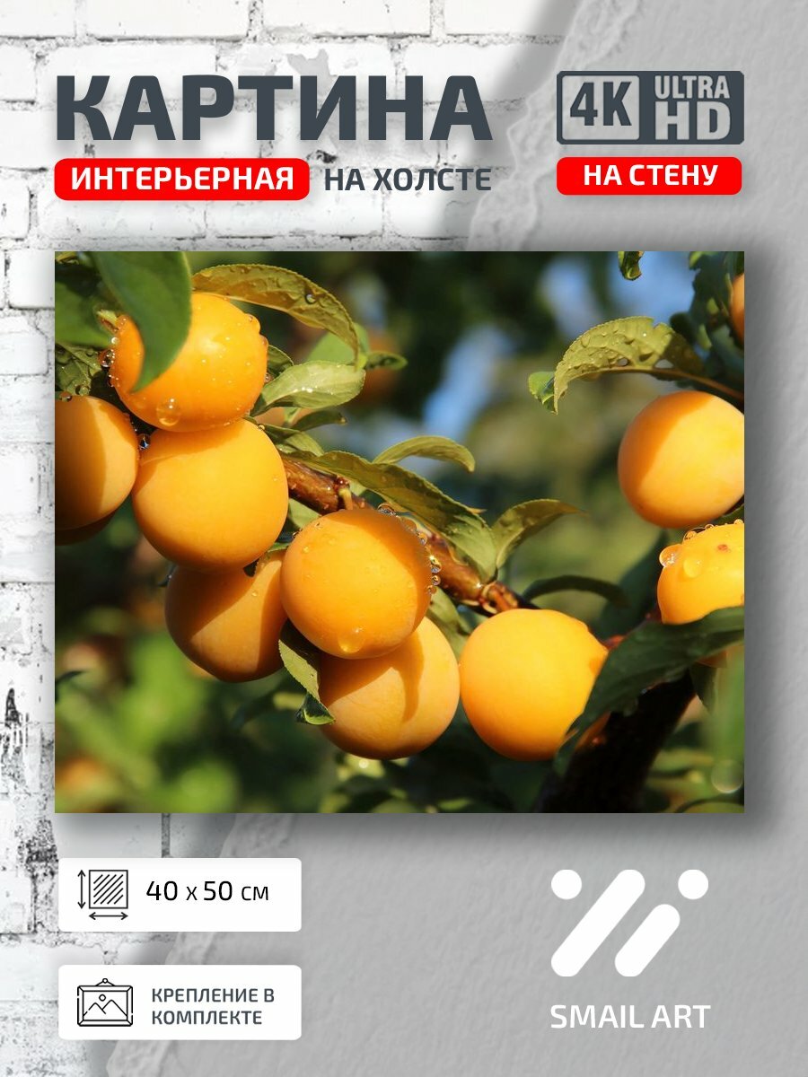 Картина на холсте интерьерная 40 на 50 на стену Дерево Landscape для гостиной пейзаж декор