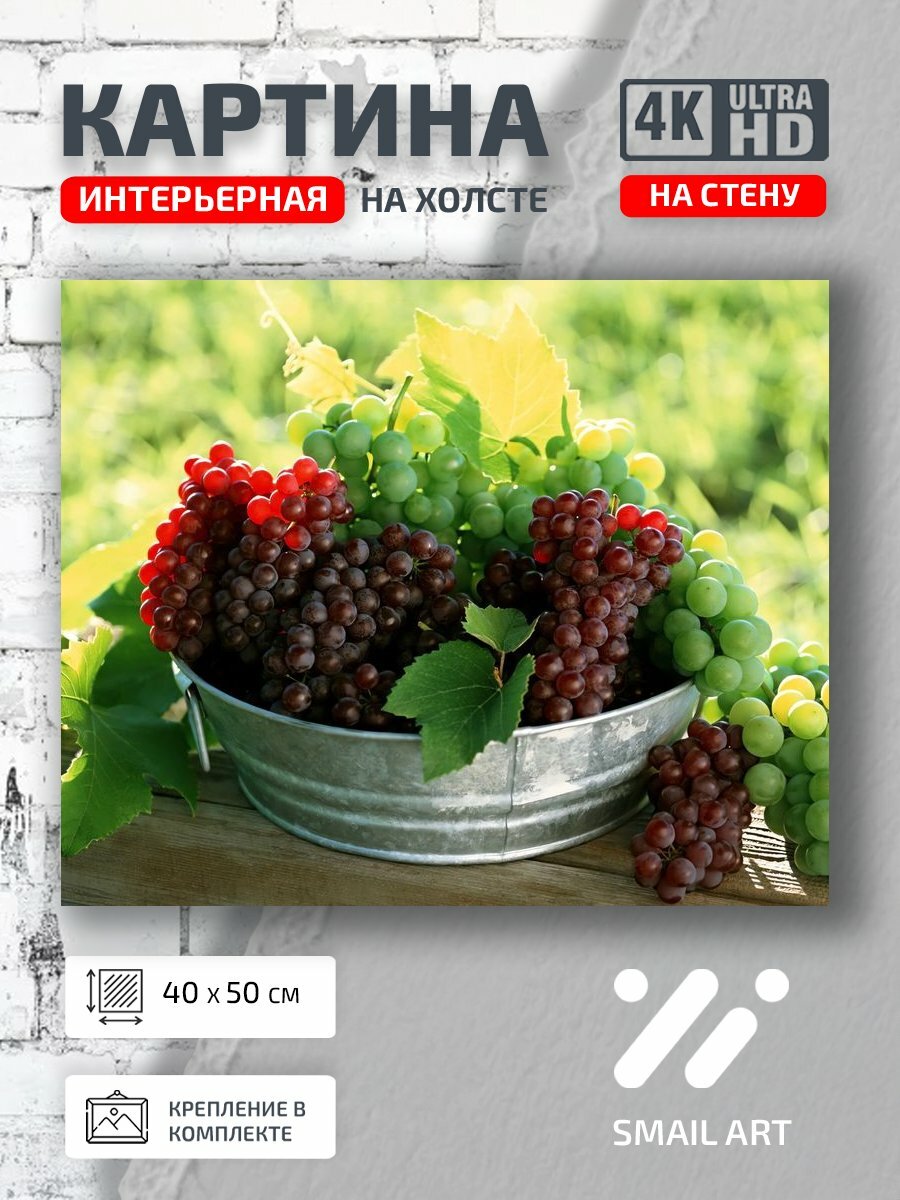 Картина на холсте интерьерная 40 на 50 на стену Виноград Landscape для спальни пейзаж декор