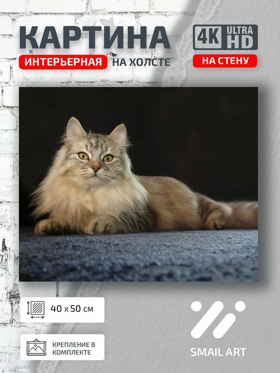 Картина на холсте интерьерная 40 на 50 на стену Фон Animal для кафе animal style интерьер
