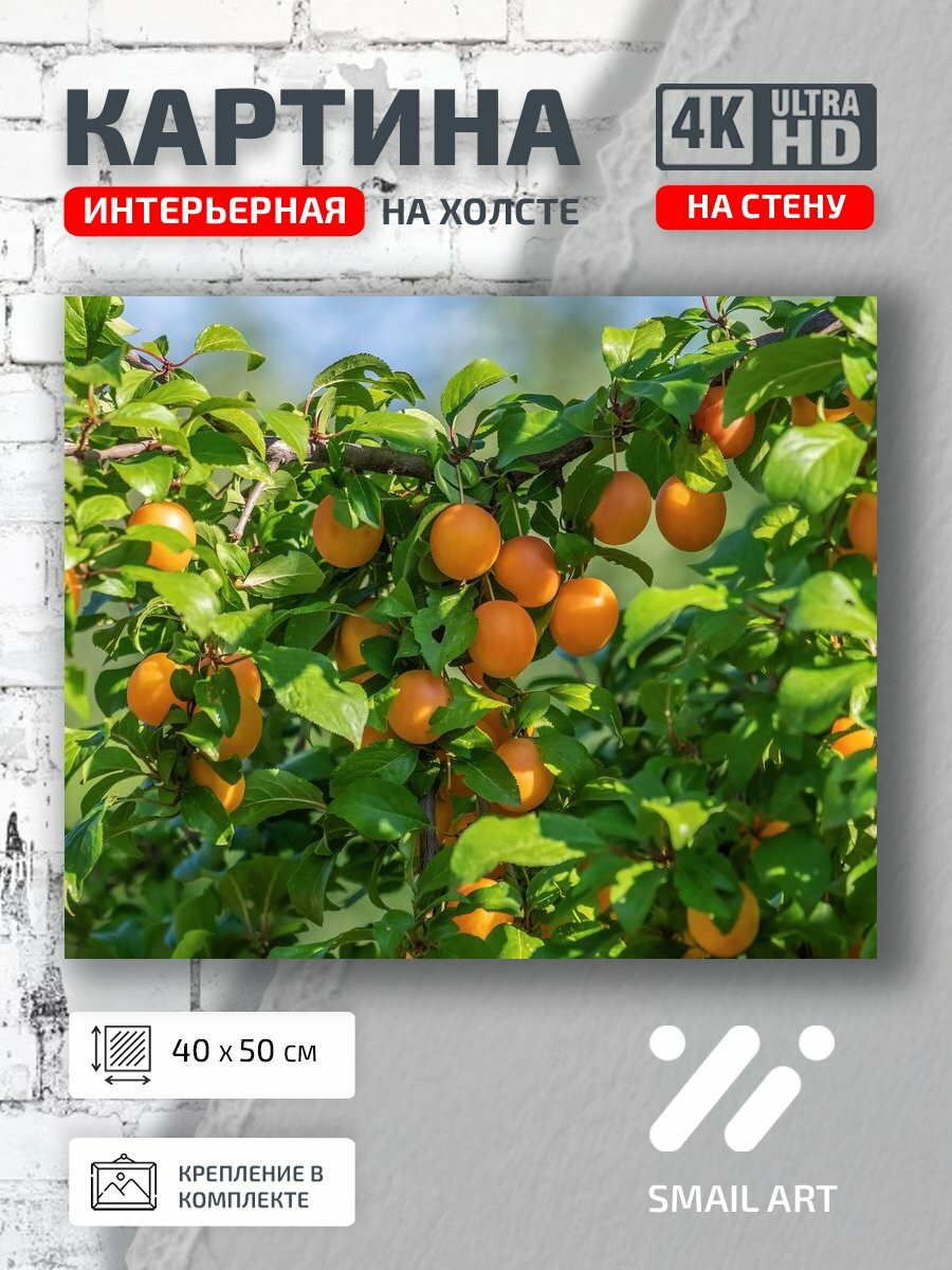 Картина на холсте интерьерная 40 на 50 на стену Зелень Landscape для спальни пейзаж декор