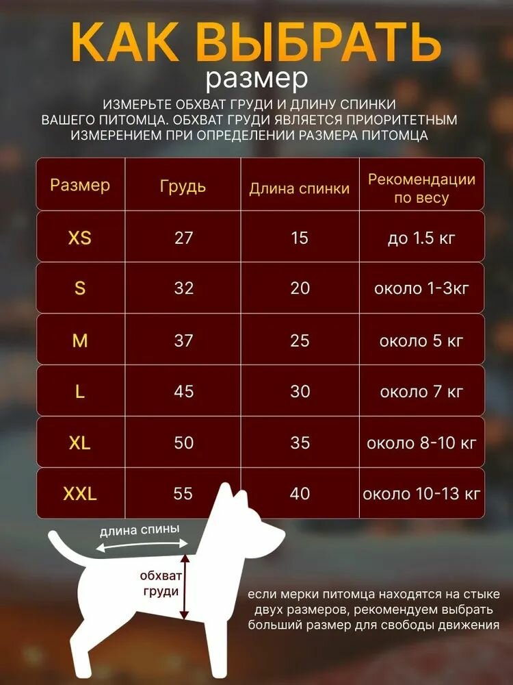 Одежда для животных — фото 1