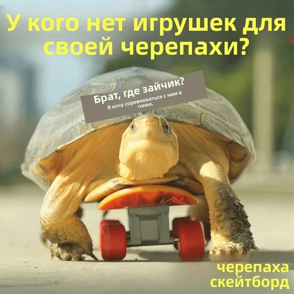 Мини-скейтборд для черепахи, игрушечный скейтборд с черепахой-попугаем 14 см, игрушки для маленьких питомцев