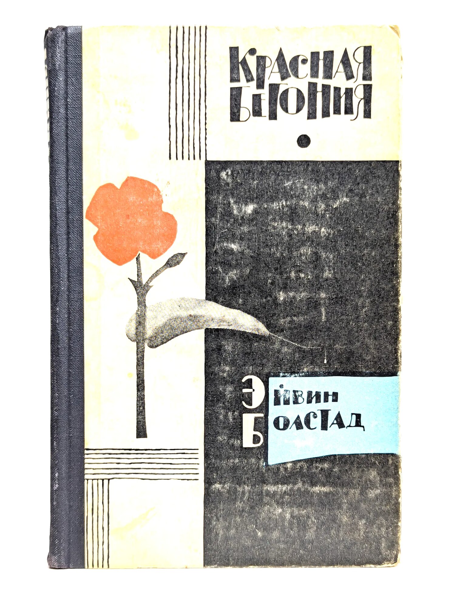 Красная бегония Болстад Эйвин 1964