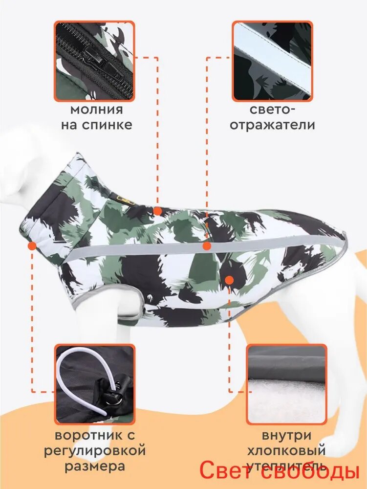 Одежда для собак — фото 1