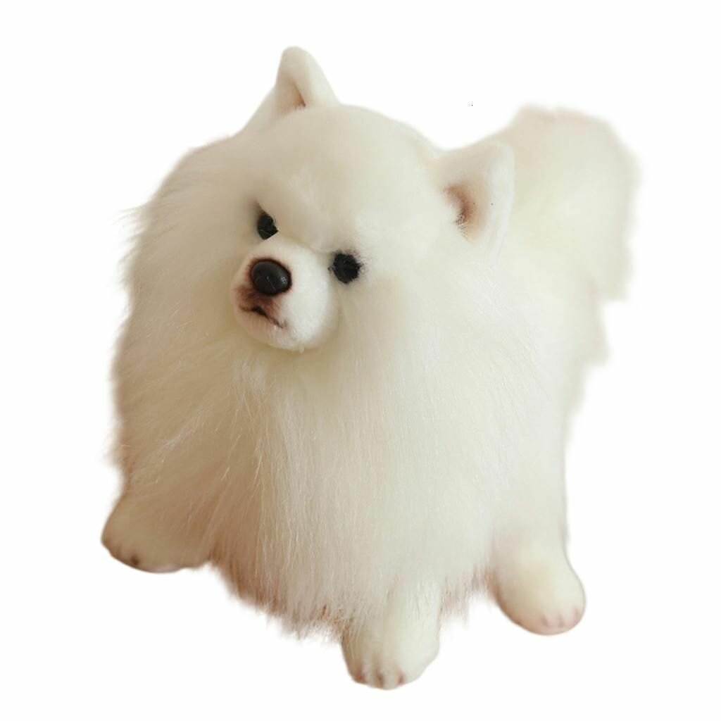 Реалистичная плюшевая игрушка "Померанский шпиц", Длинношерстный померанский шпиц